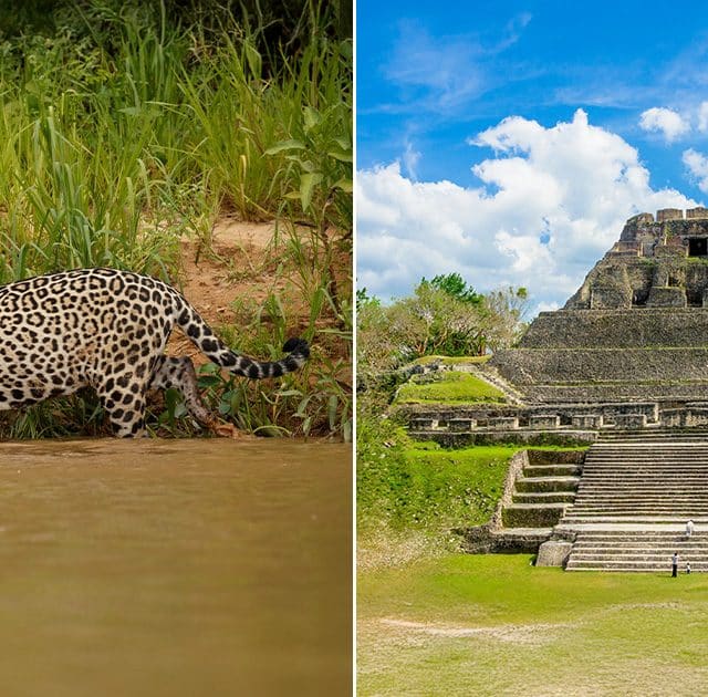Belize Zoo & Xunantunich Mayan Ruin Tour Day Trip